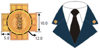 MANUAL Gráfico para el uso de Uniformes, Divisas y Equipo del Ejército ...