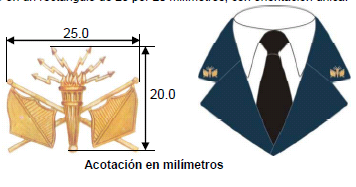 MANUAL Gráfico para el uso de Uniformes, Divisas y Equipo del Ejército ...